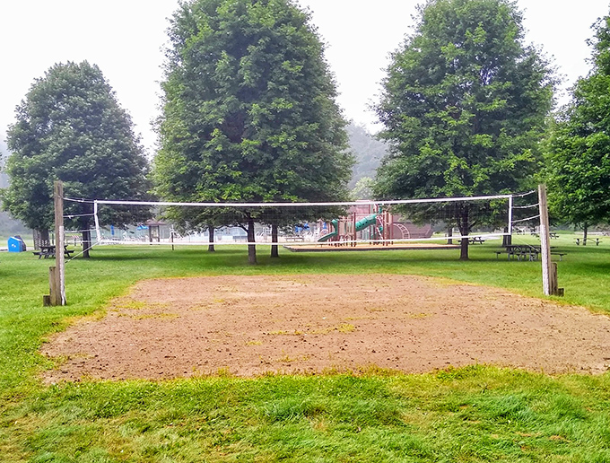 Volleyball court of dreams &ndash; where "I haven't played since high school" quickly becomes "watch this spike!" Dignity optional, laughter guaranteed.