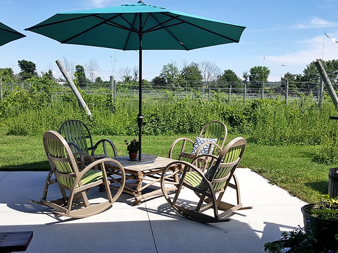 Garden chairs waiting patiently for conversation and wine&mdash;proof that sometimes the simplest pleasures make the most memorable vacation moments.