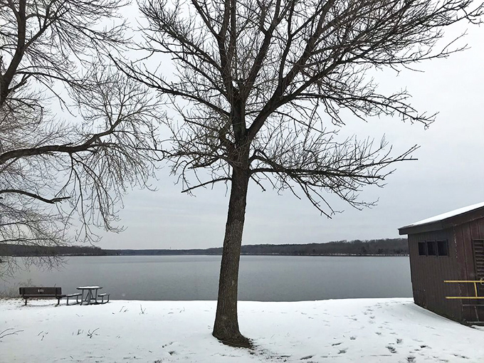 Winter's quiet transformation turns Nockamixon into a monochromatic masterpiece, where every bench offers front-row seats to nature's seasonal show.