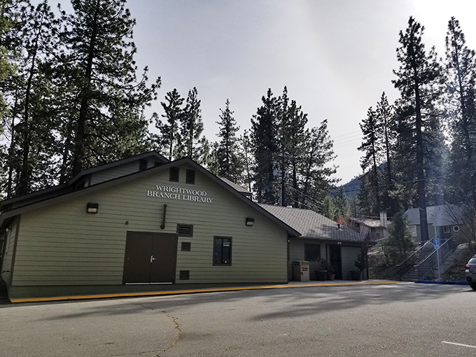 The Wrightwood Branch Library stands as a testament that even in small mountain towns, adventure awaits between book covers.