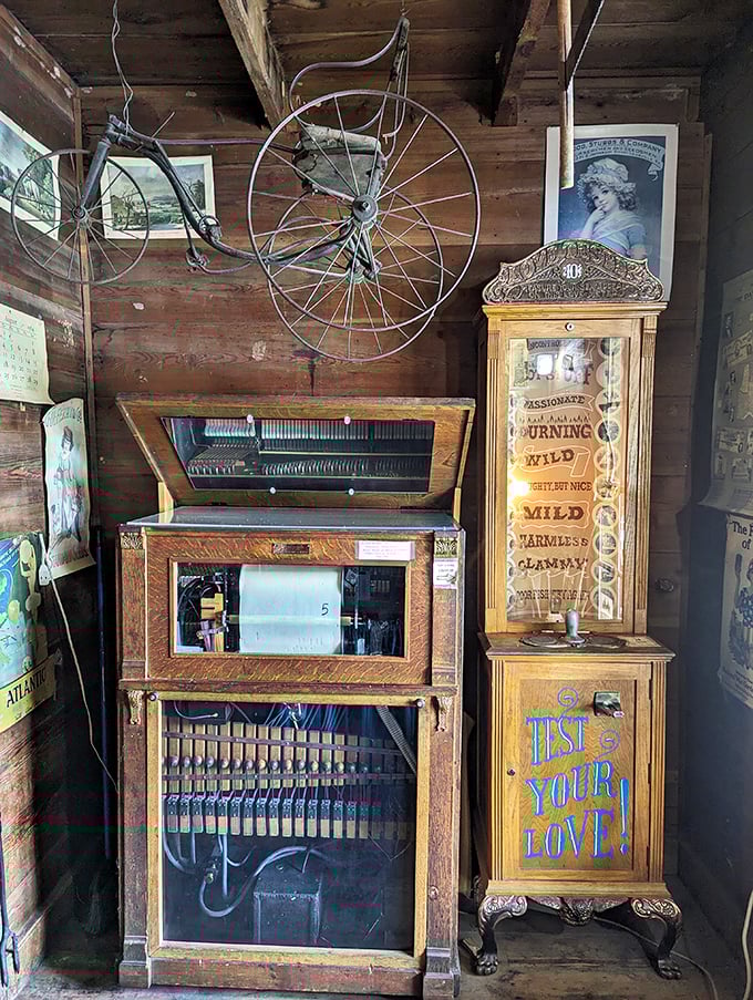 Vintage gadgets that would baffle most smartphone-dependent teenagers. Our great-grandparents called these "essential household items."