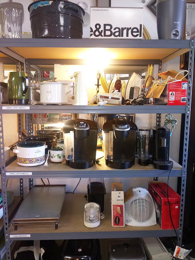 Kitchen appliance heaven where yesterday's premium coffee makers and slow cookers await their second act in your morning routine.