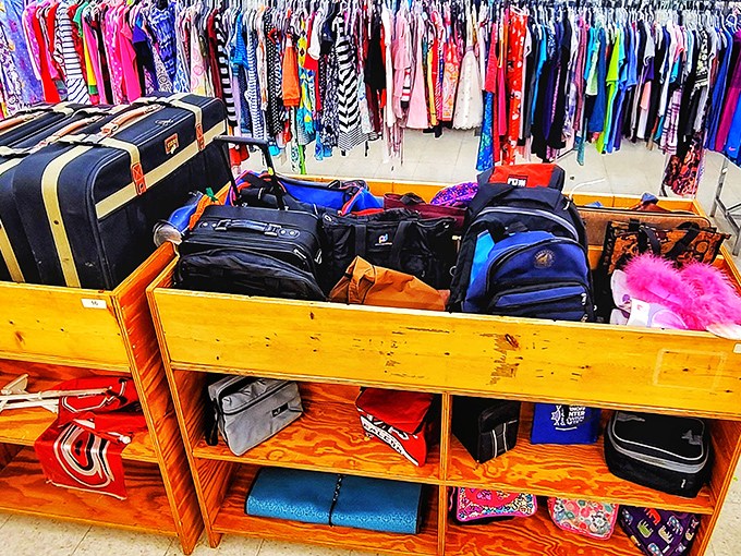 The bag section: where yesterday's forgotten luggage becomes tomorrow's conversation piece on your next weekend getaway to Asheville.