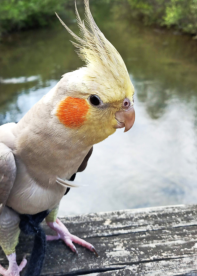 Even the local wildlife seems to pose for pictures, as if they know they're living in paradise.