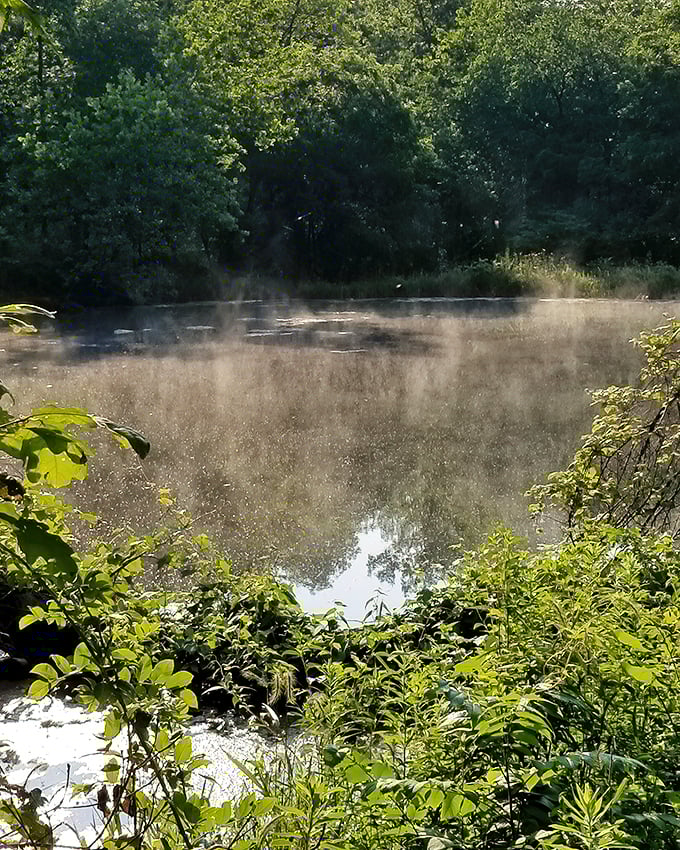 Morning mist rises from the water like spirits dancing, creating an ethereal veil over this crystal-clear Ozark pool connected to the Well's vast network.