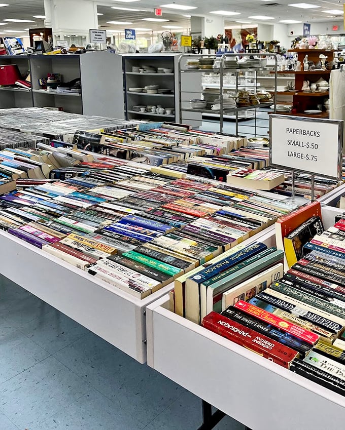 A bibliophile's playground where paperbacks start at 50 cents. Literary treasures hiding in plain sight behind modest price tags.