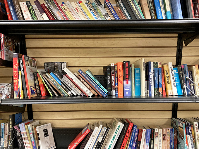 The book section rivals small-town libraries, offering forgotten bestsellers and quirky cookbooks. Each spine tells two stories: its own and its previous owner's.