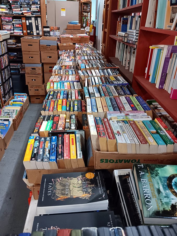A bibliophile's dream or a mover's nightmare? These boxes contain worlds waiting to be rediscovered.