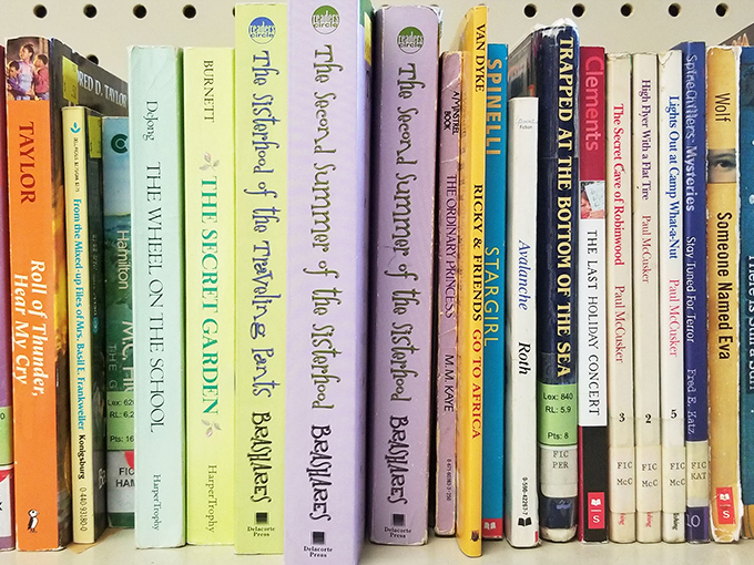 Literary treasures line shelves like old friends waiting to share their stories with new readers. 