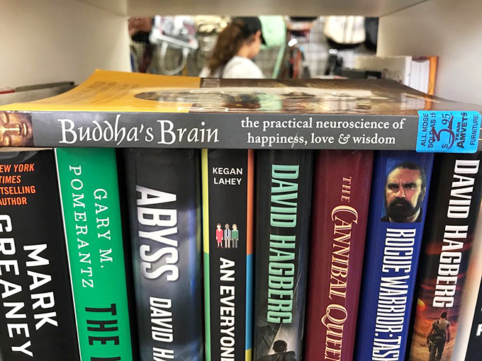 Books stacked like intellectual Jenga&mdash;Buddha's Brain next to David Hamburg, wisdom at quarter-a-pop prices.