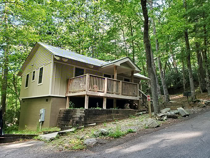 These cozy cabins aren't trying to be the Ritz-Carlton&mdash;they're offering something better: a front-row seat to nature's greatest show.