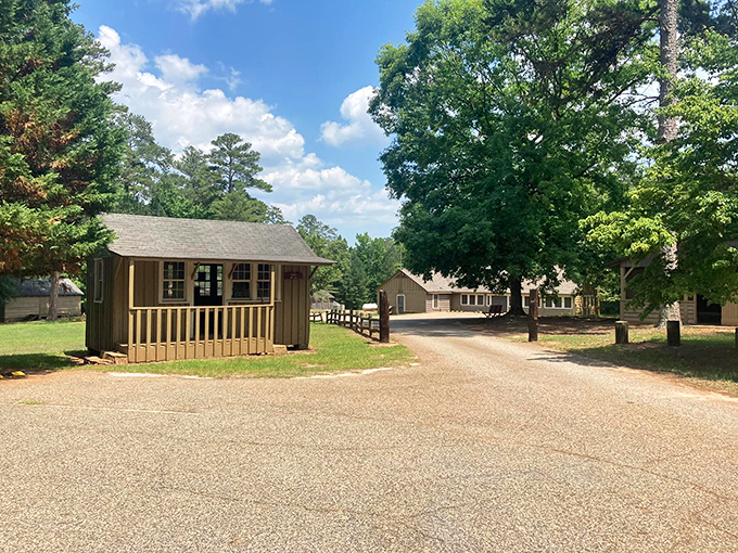 These rustic cabins whisper promises of s'mores, ghost stories, and that peculiar joy of waking up to birdsong instead of alarm clocks.