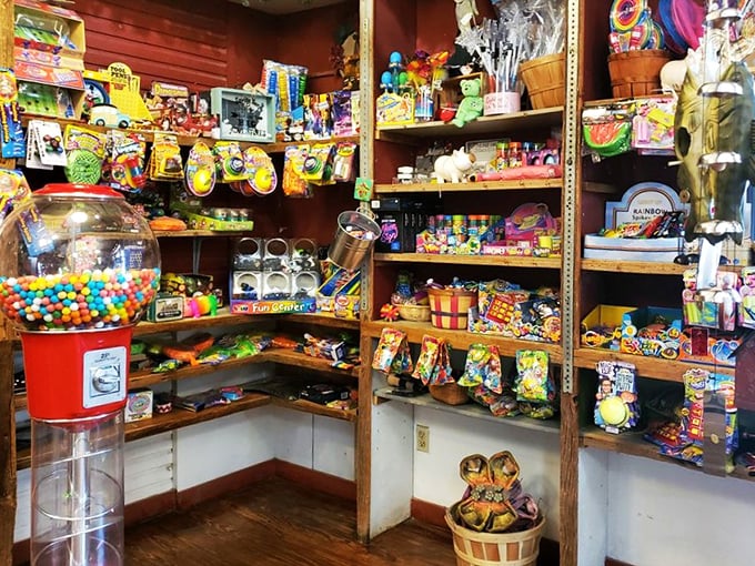 A candy corner that transforms adults into wide-eyed kids again, proving some joys are completely immune to the aging process.