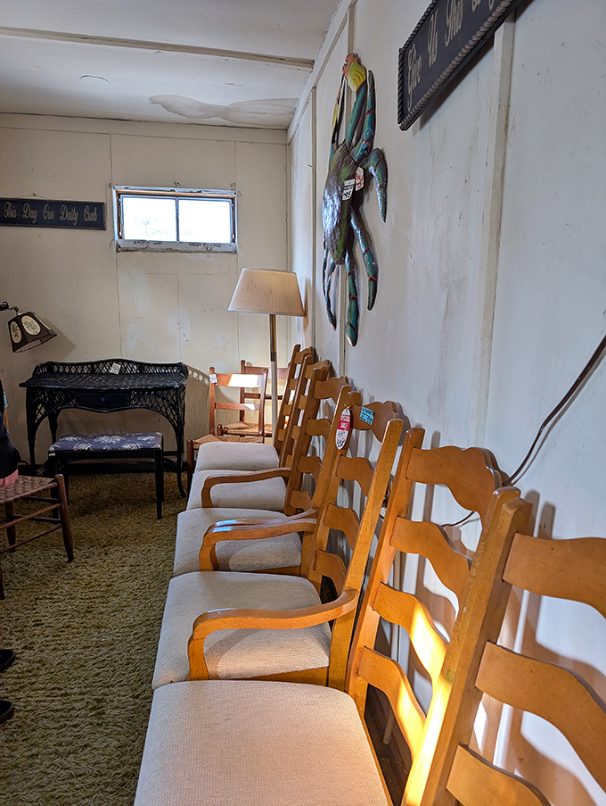 A lineup of mid-century dining chairs waits patiently for their next dinner party, their warm wood tones glowing in the afternoon light.