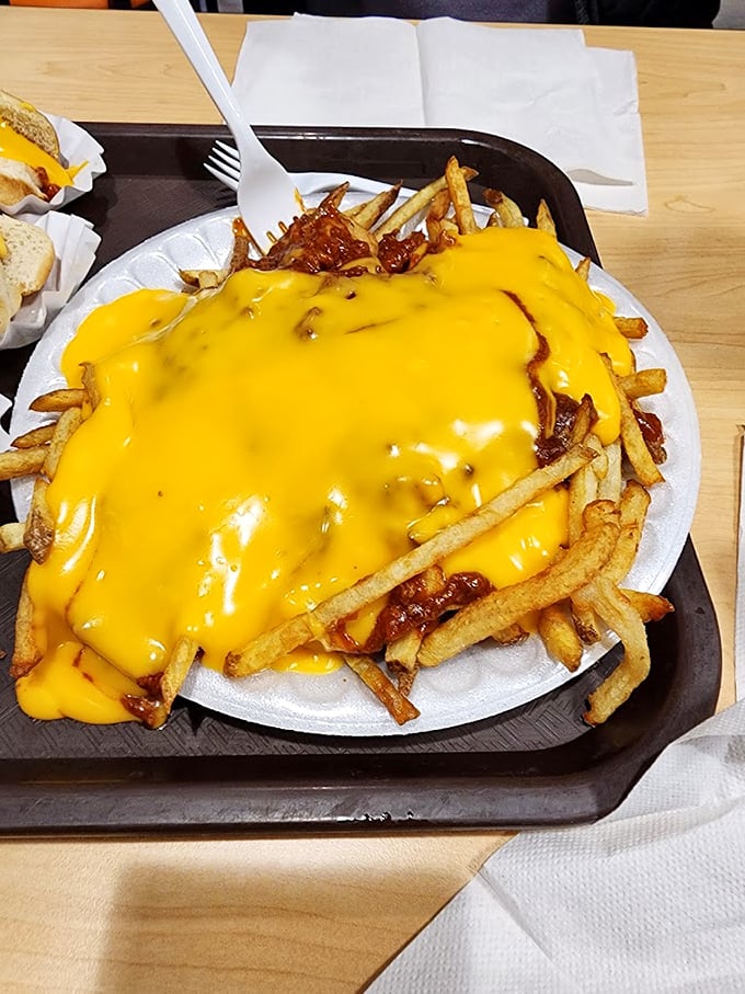French fries transformed into a molten masterpiece beneath a generous lava flow of cheese&mdash;this is what childhood dreams are made of, only better.