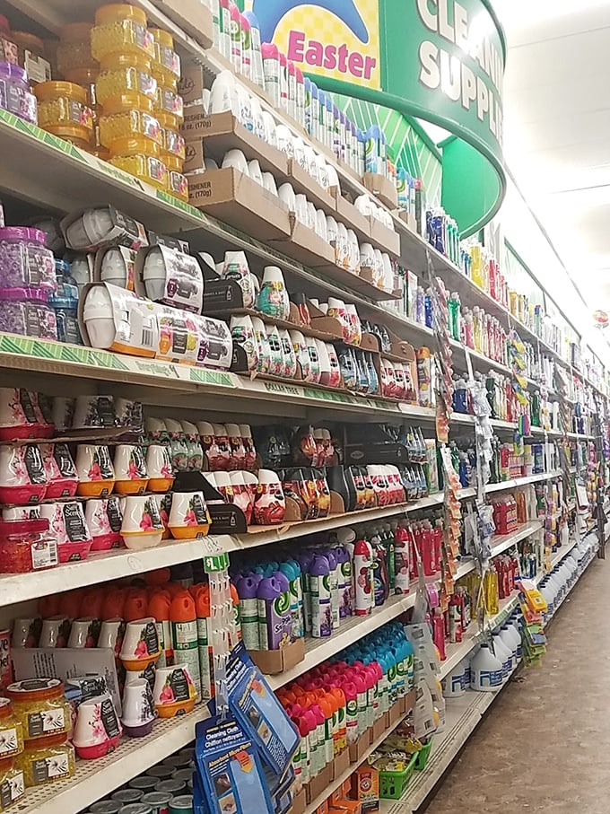The cleaning aisle &ndash; where household heroes line up like soldiers ready to battle whatever catastrophe your toddler or pet unleashed today.