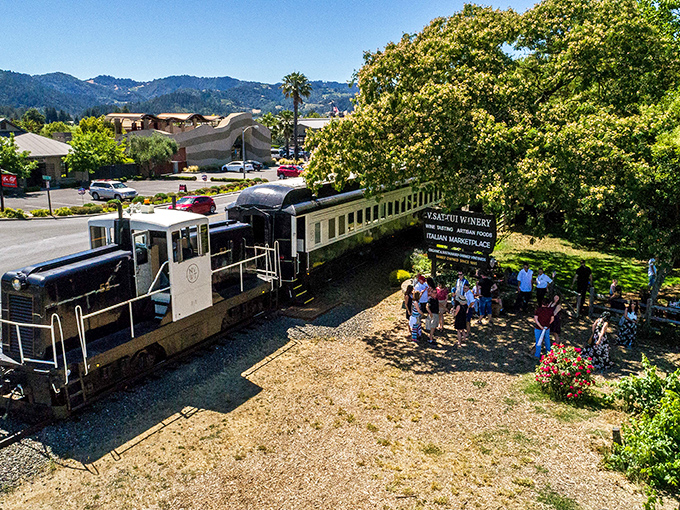 All aboard at a winery stop! The train becomes a temporary platform for exploration, letting passengers stretch their legs among the vines.