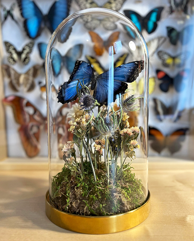 Home decor pieces arranged with the care of a museum curator who actually wants you to touch.