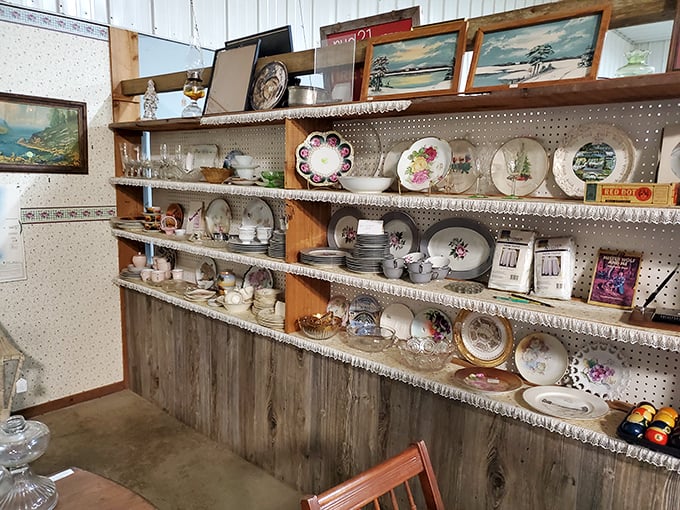 Grandma's china cabinet dreams come true. These delicate patterns have survived decades of holiday meals and everyday moments.