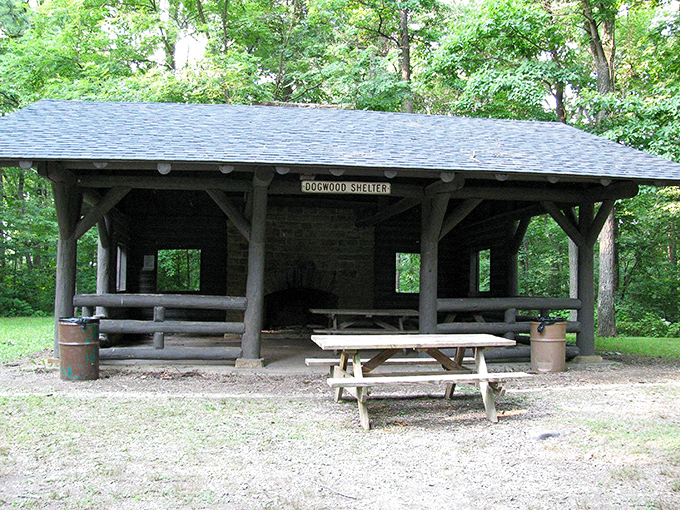 Rain or shine, picnics divine! This sturdy shelter house stands ready for family gatherings, with forest views included at no extra charge.