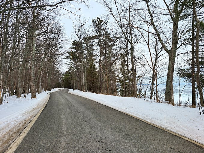 Winter strips the tunnel to its elegant bones, creating a stark, beautiful passage that whispers of seasons past and future.