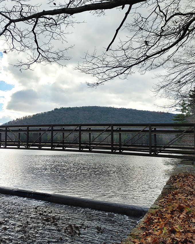 This bridge spans more than just water&mdash;it connects visitors to both sides of Cowans Gap's natural splendor. Engineering meets enchantment.