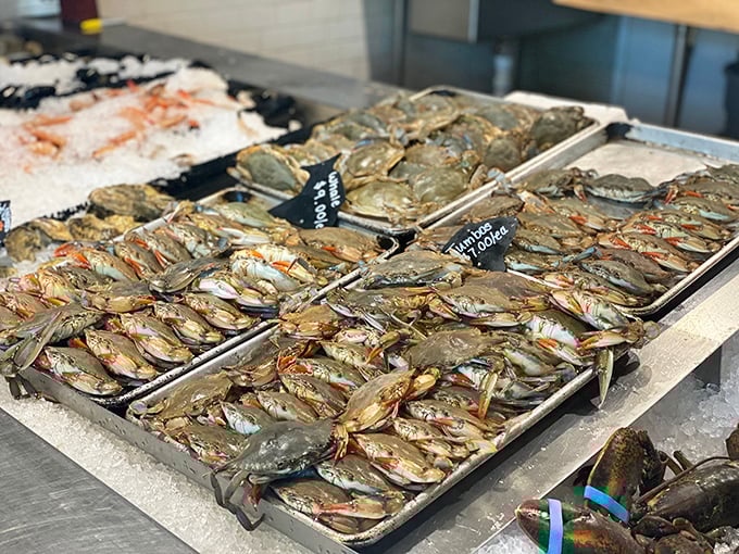 The seafood counter at Conrad's &ndash; where "fresh catch" isn't marketing speak but a literal description of what's on display. Just look at those specimens!