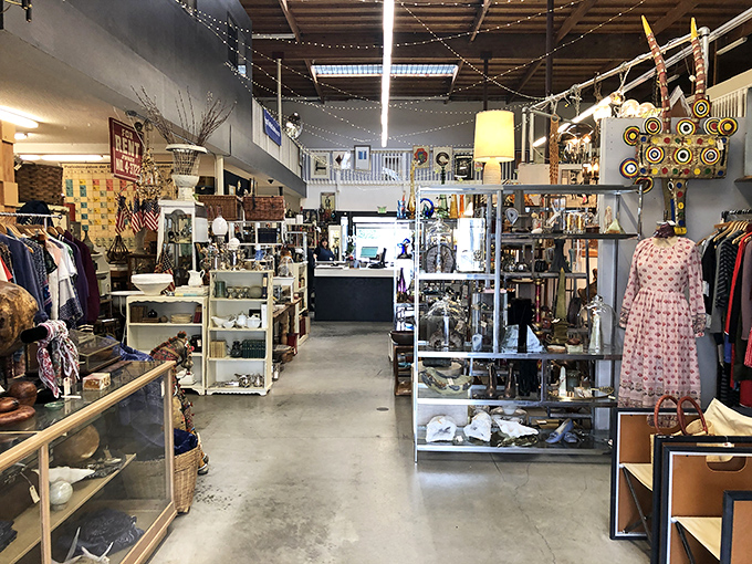 The heart of The Mart Collective beats with endless aisles of curated chaos&mdash;where vintage clothing, art, and curiosities coexist in perfect harmony.