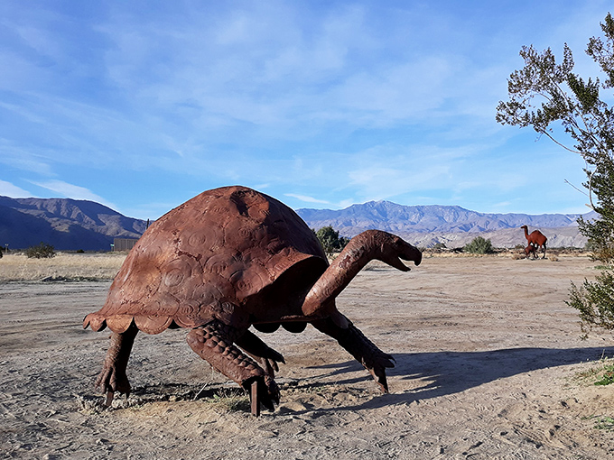 Slow and steady wins the race to become art. This tortoise sculpture captures the ancient reptile's deliberate journey across the desert floor.