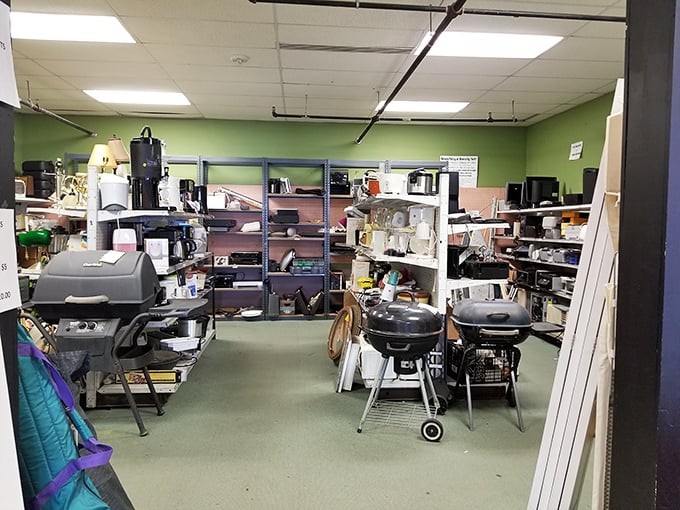 The outdoor cooking section: where summer barbecue dreams come true without the sticker shock. Weber grills at non-Weber prices!