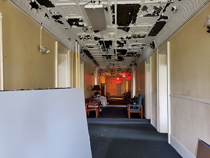 Peeling paint and crumbling ceilings create nature's own abstract art gallery, with decay as the featured installation artist.