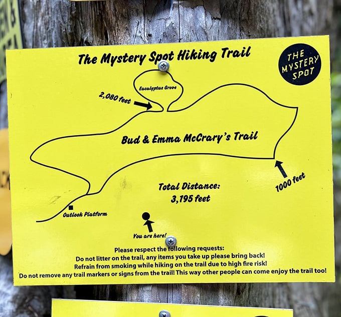 Even the hiking trail map looks mysteriously banana-shaped – a fitting tribute to Santa Cruz's unofficial mascot and the attraction's quirky spirit.
