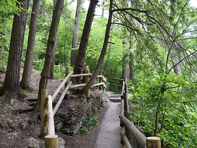 This rustic trail through towering trees feels like walking through the opening scene of a fantasy film. Narnia might be just around the corner.
