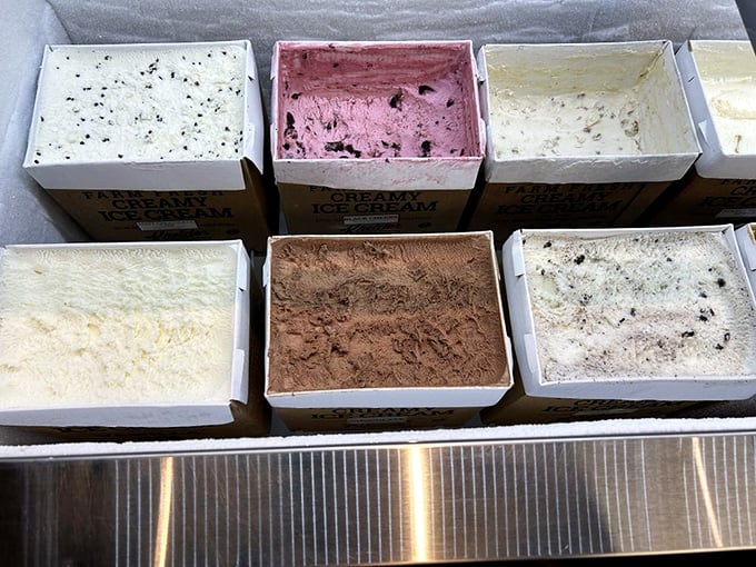 Ice cream boxes lined up like a delicious color wheel of possibility. Each flavor tells its own creamy story, from vanilla's calm to chocolate's intensity.