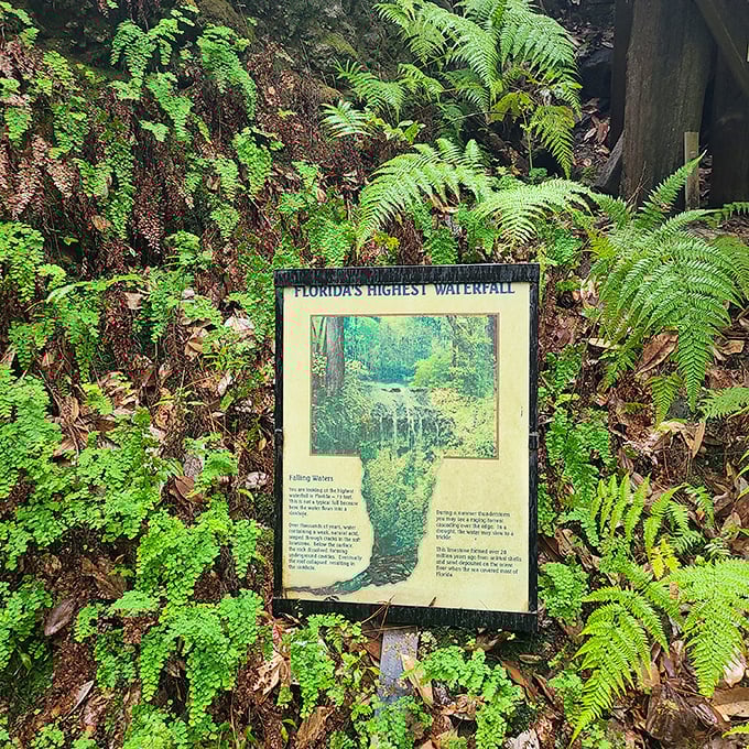 "Florida's Highest Waterfall" &ndash; the sign doesn't lie, though admittedly the competition isn't exactly fierce in this notoriously flat state.