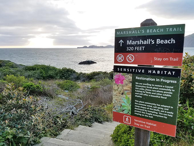 The sign doesn't just point the way&mdash;it's practically saying, "320 feet to the best view you'll post on social media this year."