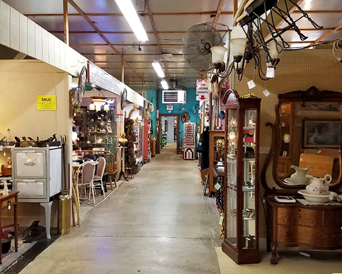 The thrill of the hunt captured in one frame—aisles stretching into the distance like a time-traveler's yellow brick road.