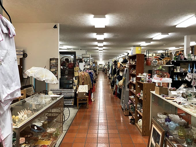 Endless aisles of possibility stretch before you, each booth a carefully curated universe of someone else's treasured memories.