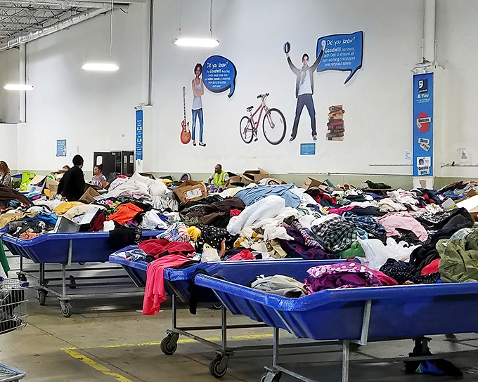 Blue bins stretch to the horizon like an ocean of possibilities, with color-coded signs as the only navigation through this retail wilderness.