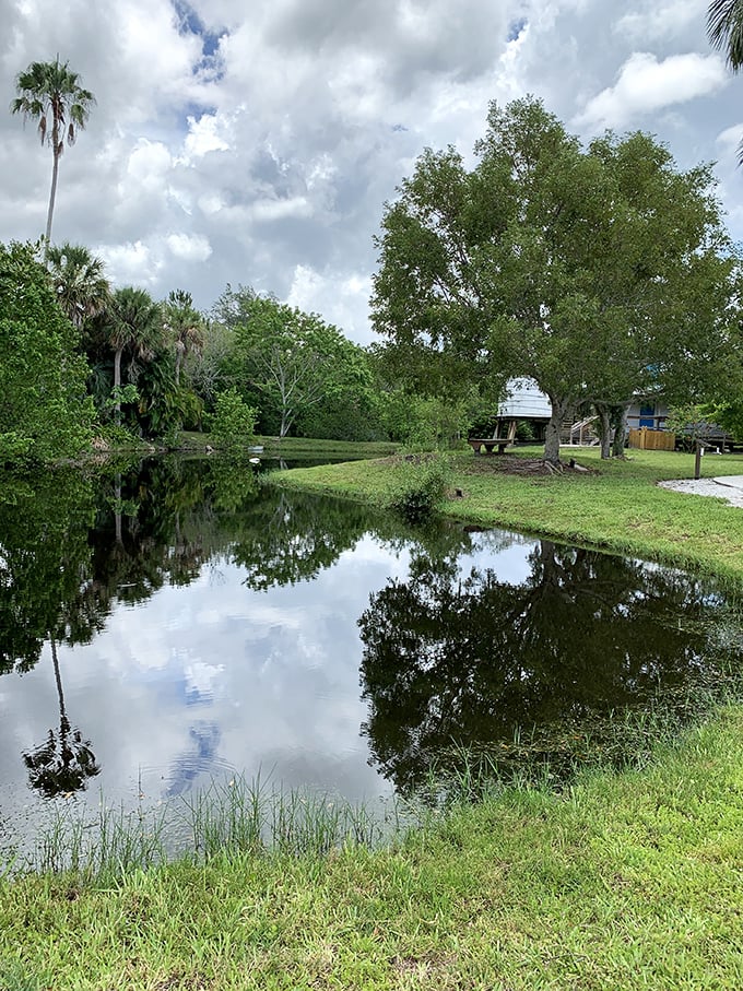 Nature and village life exist in perfect harmony along Cortez's peaceful waterways. This tranquil scene is the antidote to Florida's more frenzied tourist destinations.