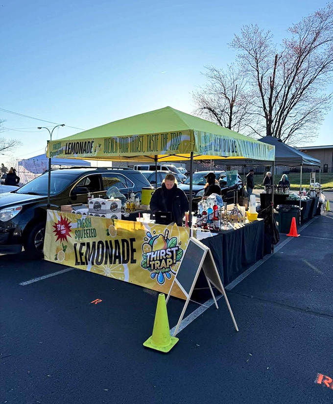 Nothing complements treasure hunting like fresh-squeezed lemonade. This sunny oasis offers liquid refreshment when the thrill of the find leaves you parched.