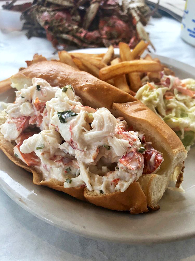 A lobster roll that doesn't skimp on the good stuff, nestled in a toasted roll with fries and coleslaw standing by as worthy sidekicks.