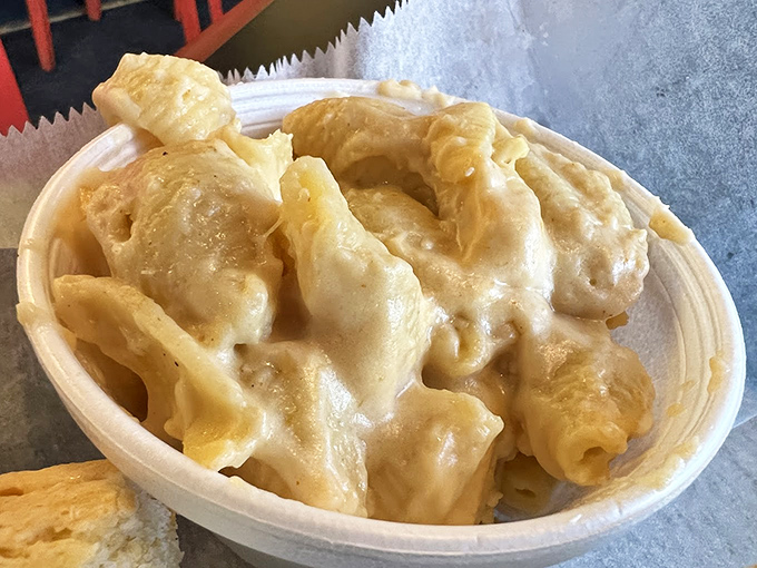 This isn't just mac and cheese; it's a golden pool of comfort where pasta tubes float blissfully, waiting to transport you back to childhood&mdash;only better.