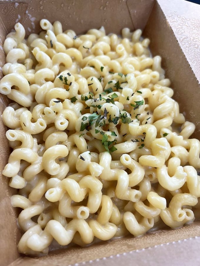 Mac and cheese so creamy it should require a lifeguard on duty. The herbs sprinkled on top pretend this is somehow sophisticated comfort food. 