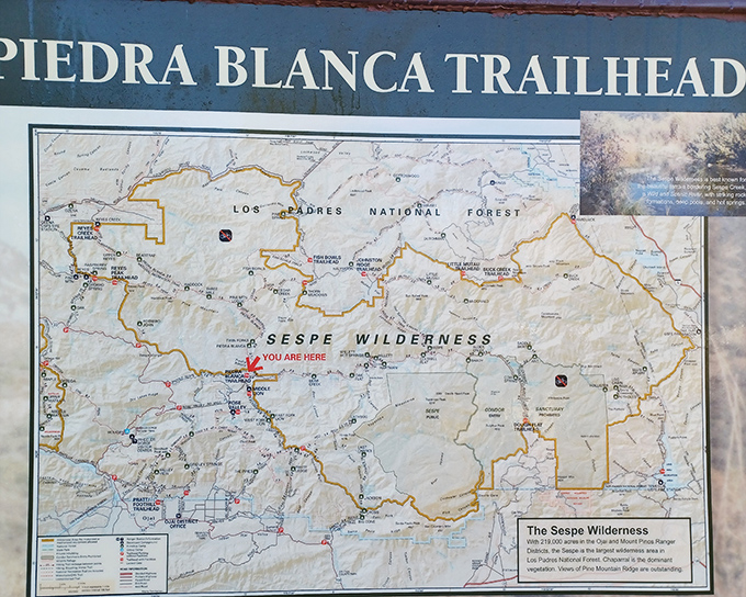 Not all who wander are lost, especially with this handy trail map. The "You Are Here" dot: both humbling and reassuring in 219,700 acres of wilderness.