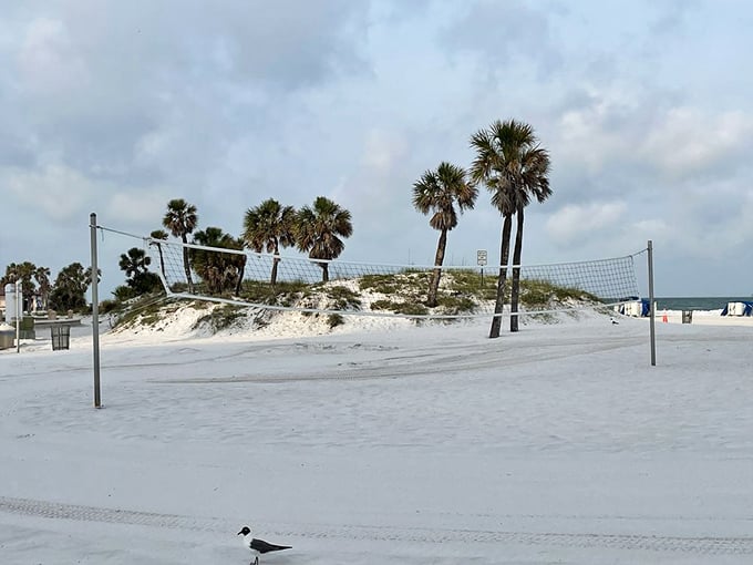 Beach volleyball nets stand ready for impromptu tournaments where "I haven't played since college" quickly becomes "best two out of three?"