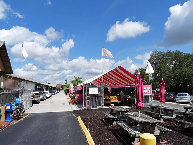 Florida sunshine bathes the outdoor section, where picnic tables invite you to rest your feet and refuel for the next round of treasure hunting.