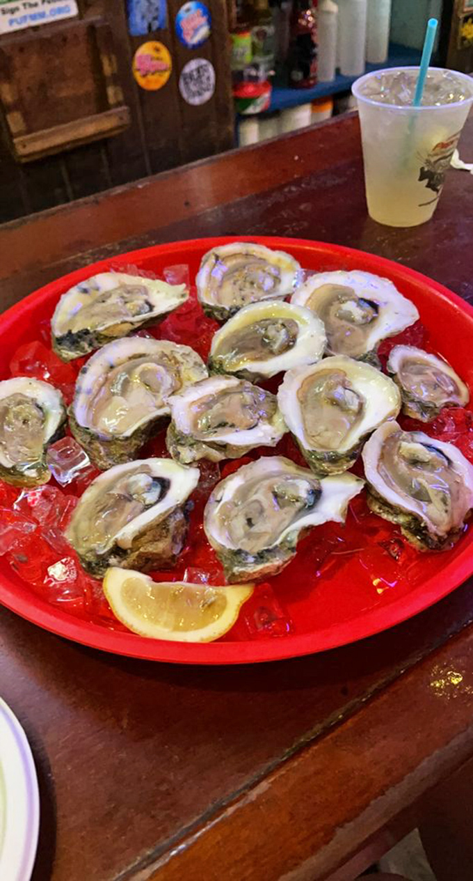 Oysters on the half shell—nature's perfect appetizer, where the ocean delivers its bounty on little porcelain thrones of ice.