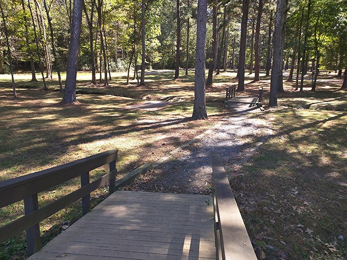 Green spaces provide perfect spots for picnics, where families create memories under Georgia's generous sunshine.