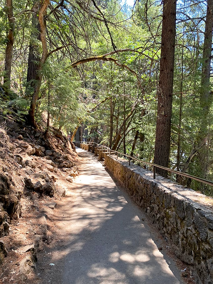 The path to waterfall nirvana &ndash; paved, accessible, and flanked by ancient pines that have been standing guard for centuries.